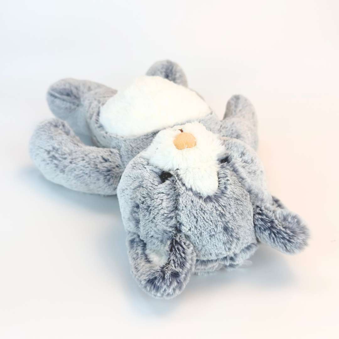 Cute Gray Cat Stuffed Animal - PlushThis| Plushies & Stuffed Animals